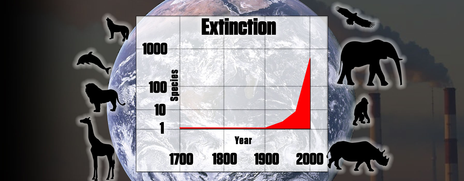 Population Of Animals Increases Through