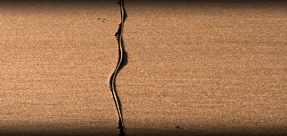 The challenge to follow God | Will you obey God's laws?