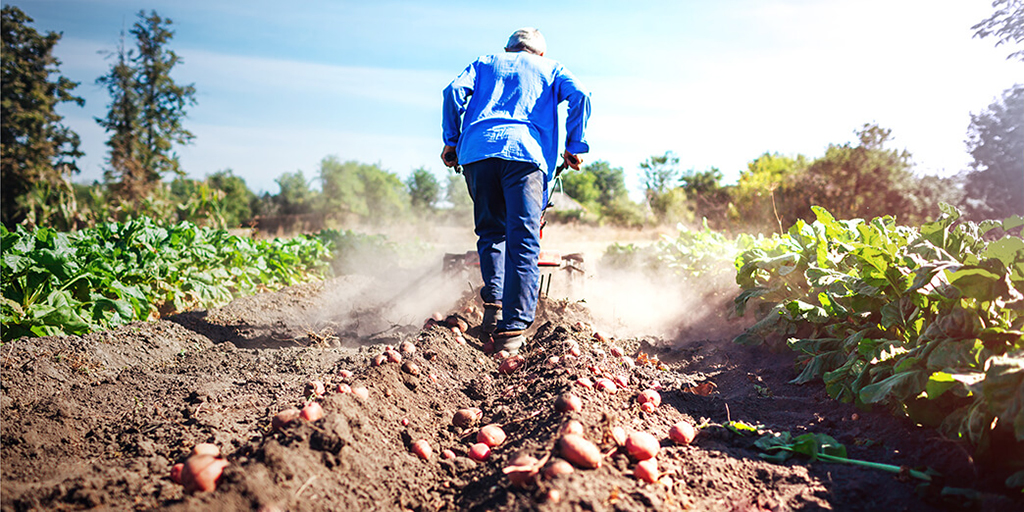 Remember the Plow | Tomorrow’s World
