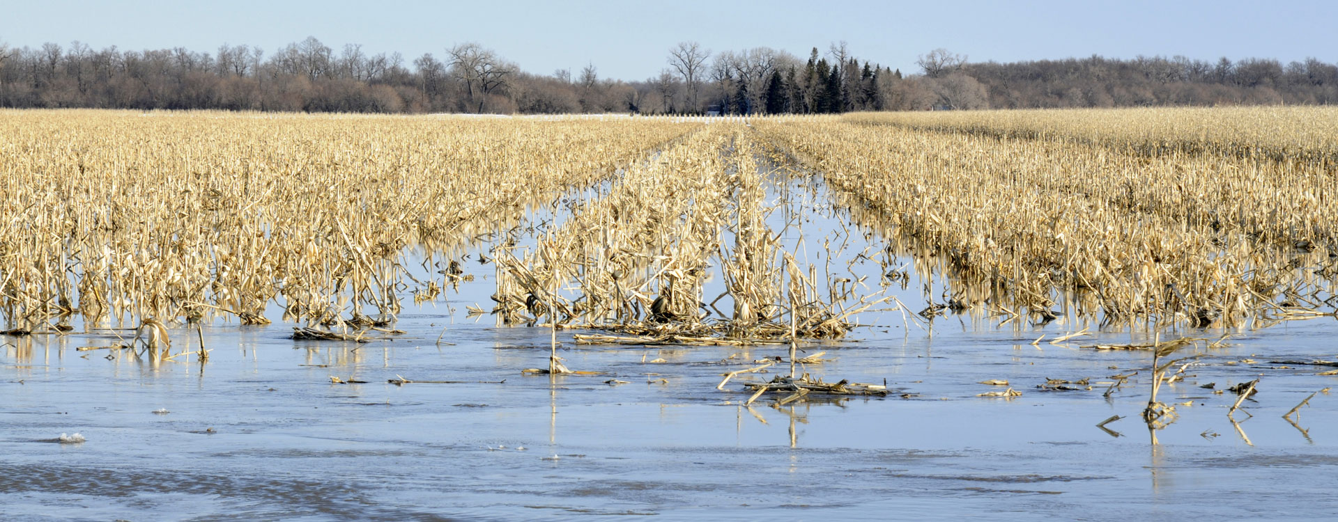 Midwest Flooding Not Over Tomorrows World
