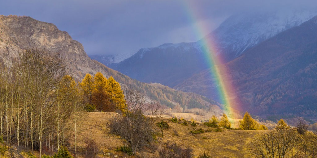 Noah and the Rainbow—and You! | Tomorrow's World