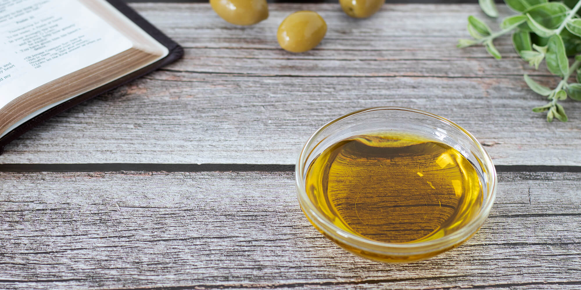 Olive Oil: A Biblical Symbol | Tomorrow’s World