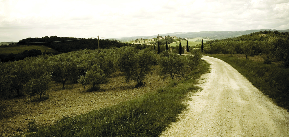 Ancient Paths | Tomorrow's World