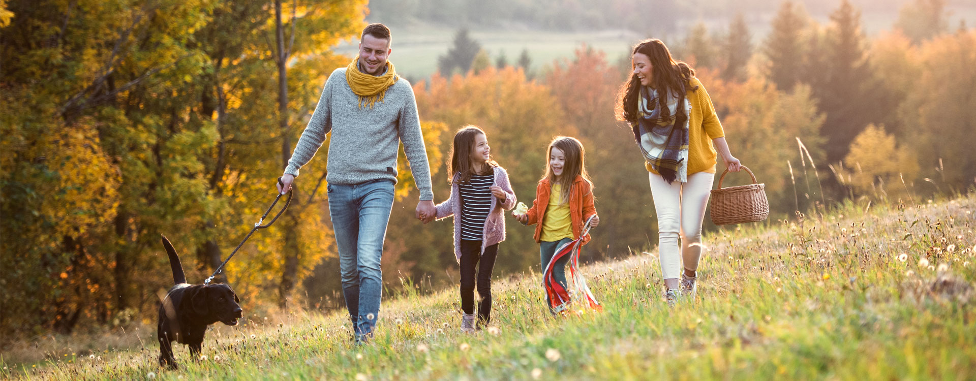 Strong Families and Job Success | Tomorrow's World