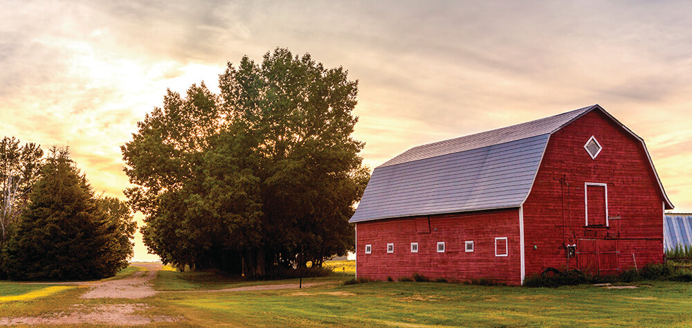 Lo the Barn | Tomorrow’s World